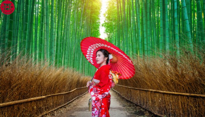 Khám Phá Rừng Trúc Đẹp Nhất Thế Giới Sagano tại Kyoto